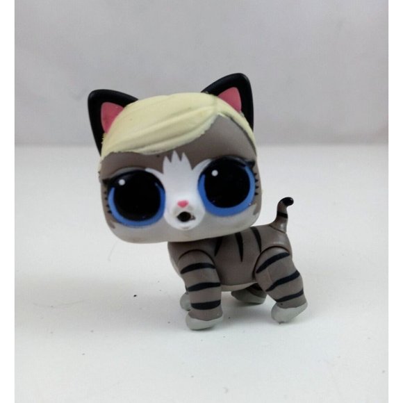 MGA Entertainment | Toys | Lol Surprise Pet Fuzzy Pets Series Shorty ...